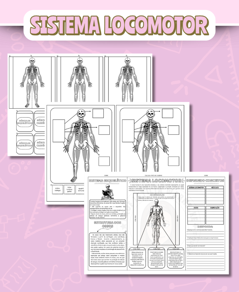 Sistema locomotor – Eu Profle – Recursos Pedagógicos